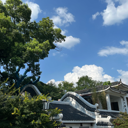 科学小实验君 
