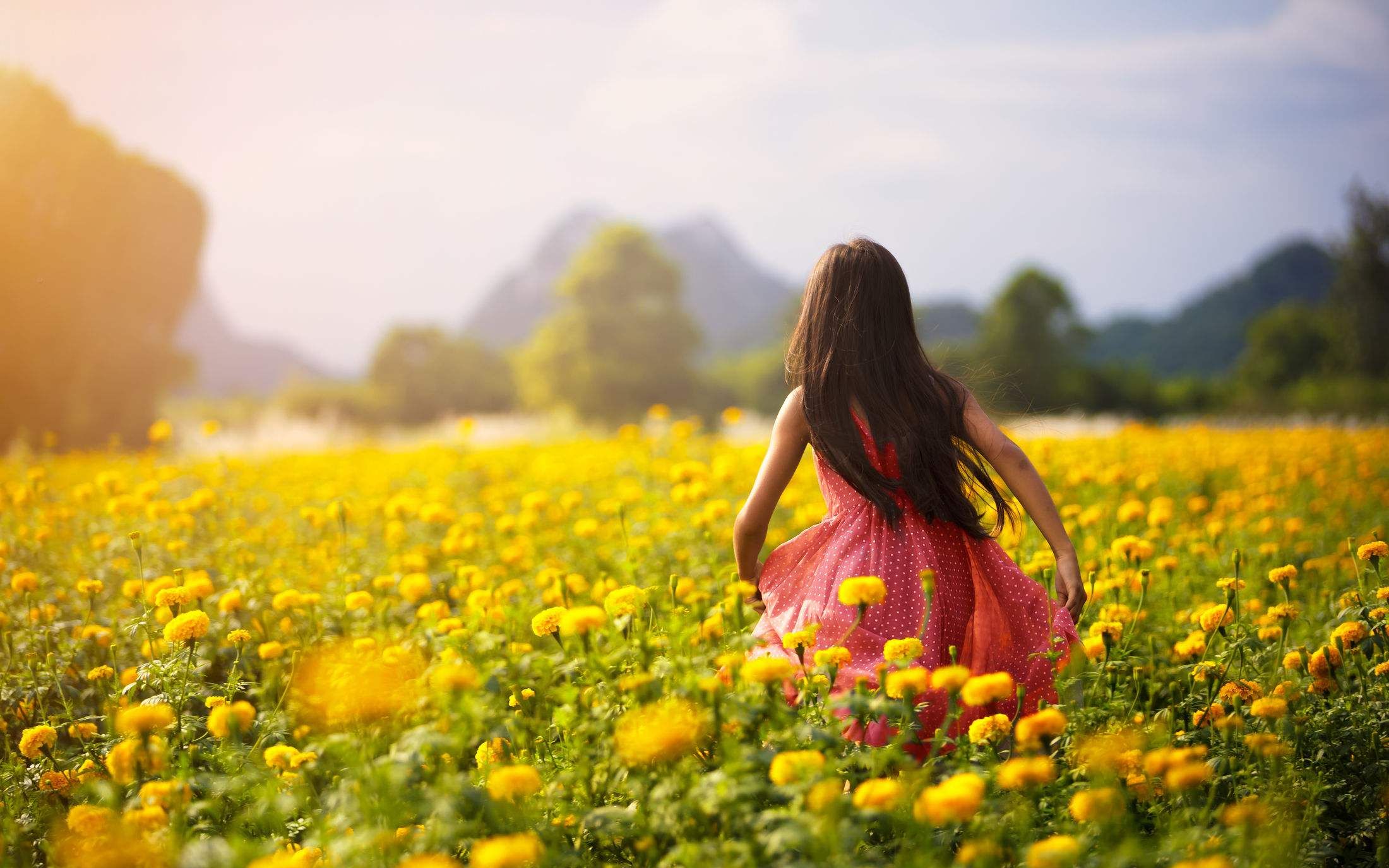 设计理论基础——色彩构成