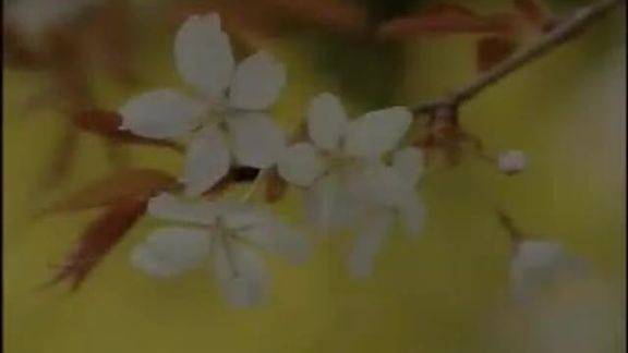 学篆刻刀法切刀和冲刀杨老师篆刻教室05