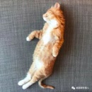 悦耳酷听 