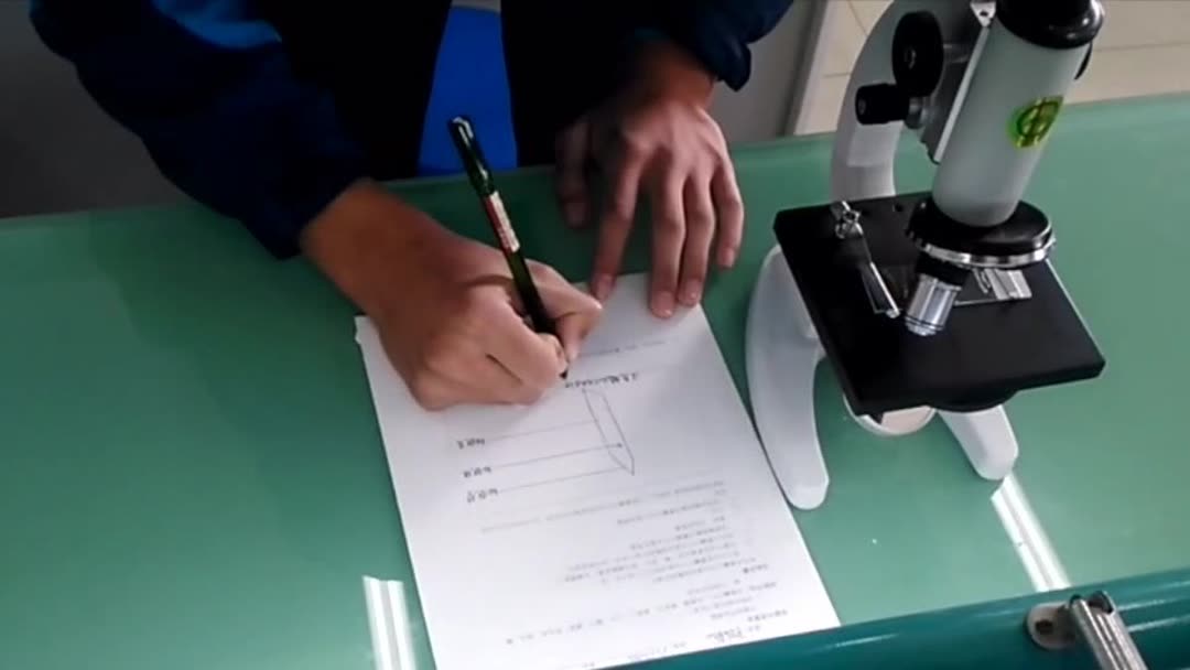 生物实验A:观察洋葱果肉细胞