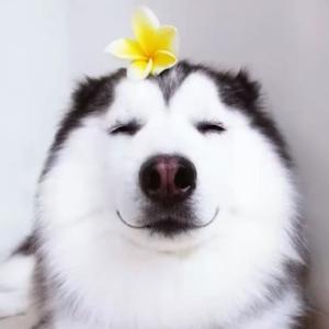 柚柚学知识 