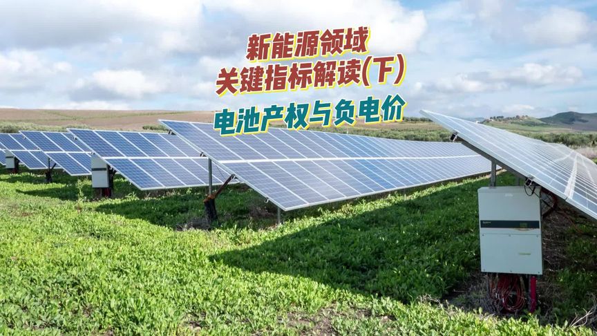 新能源领域关键指标解读(下)电池产权和负电价#华北电力大学
