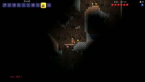 【大橙子和小枫】横版我的世界-泰拉瑞亚生存.(11)