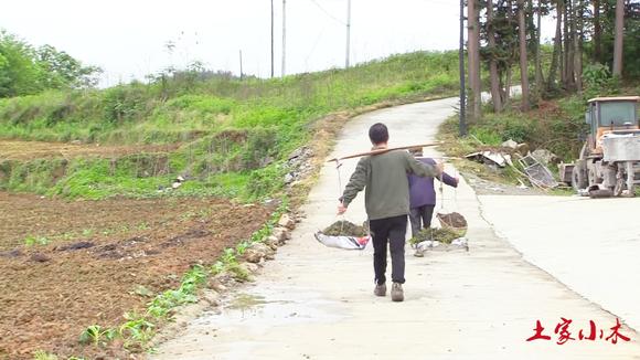现在农村搞环境整治,小木全村出动搞卫生,爱护卫生人人有责!
