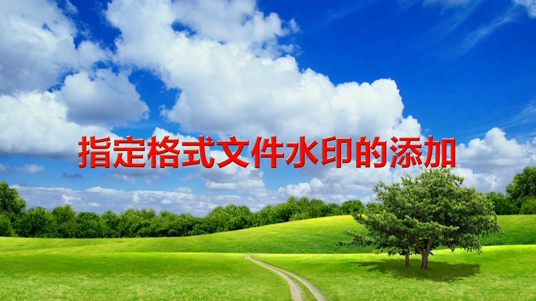 指定格式文件水印的添加