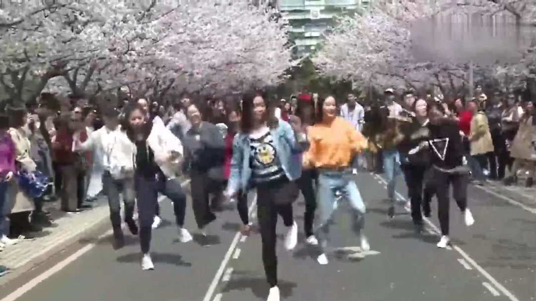 简单易学舞蹈教程《C哩C哩》 人美、花美、景美最火抖音舞蹈