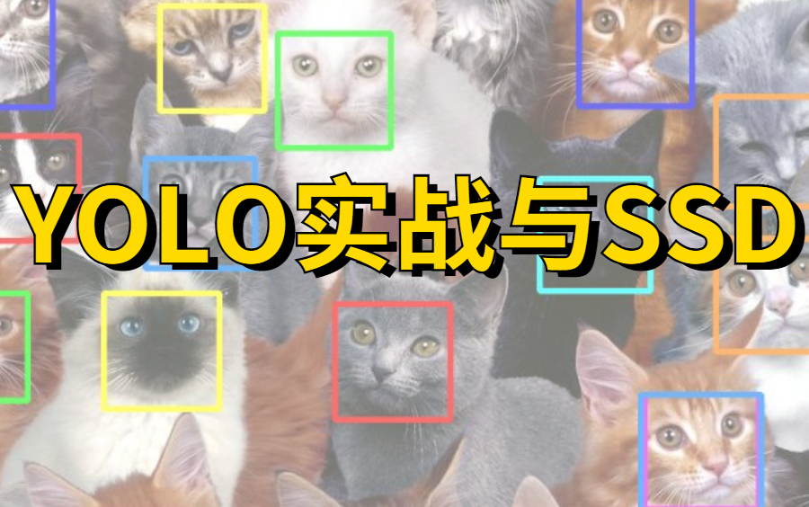 【顶级教程】绝对通俗易懂!最详细经典目标检测算法之YOLO和SSD...