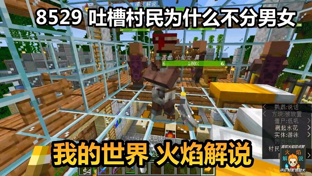 我的世界 火焰解说 8529 吐槽村民为什么不分男女