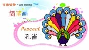简笔画动物:孔雀