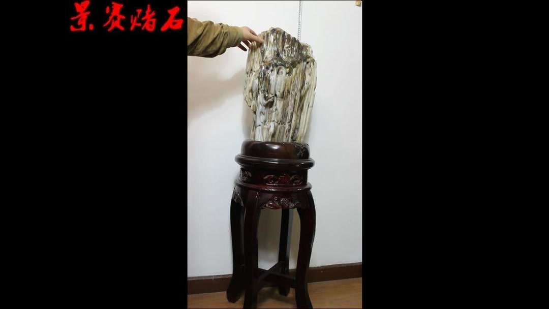 缅甸木化玉树化玉中的好树化玉可以招财镇宅价格便宜的树化玉摆件