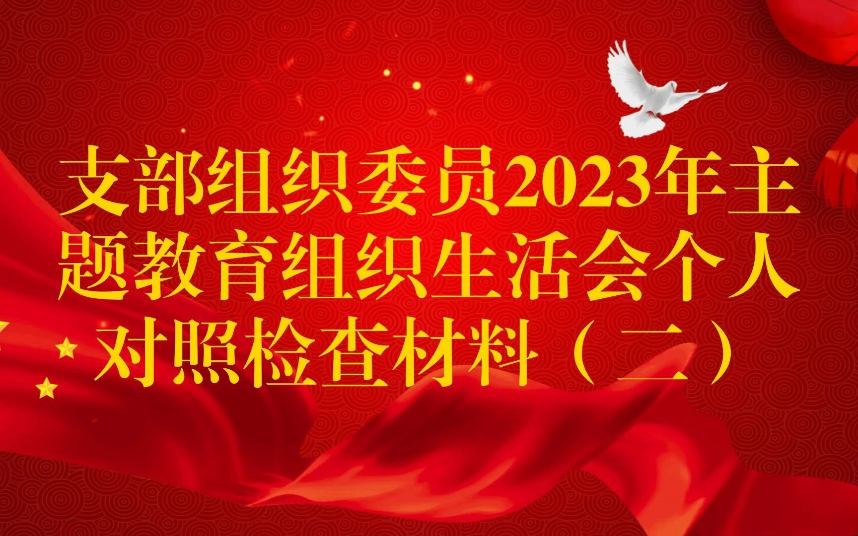 支部组织委员2023年主题教育组织生活会个人对照检查材料(二)