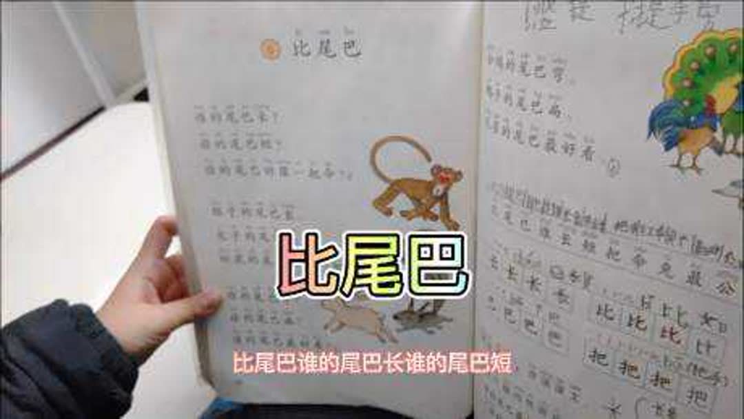一年级课文 ,有趣的影子,青蛙写诗 比尾巴,感人的《雨点儿》