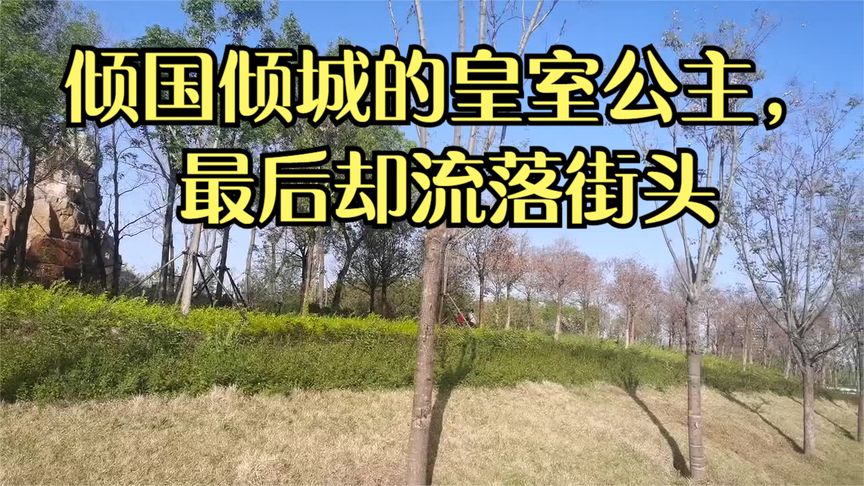 倾国倾城的皇室公主,最后却流落街头
