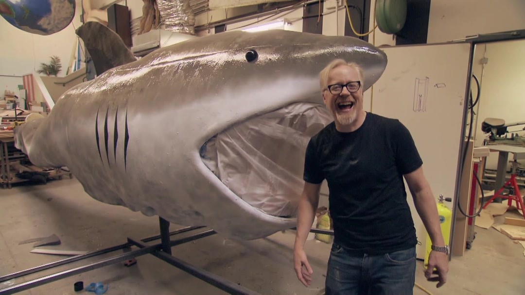 鲨鱼周2015:仿真鲨鱼模型制作成功 逆戟鲸会是鲨鱼的天敌吗?