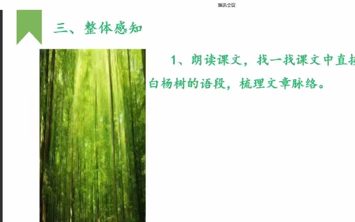 茅盾《白杨礼赞》教学视频-统编教材八上