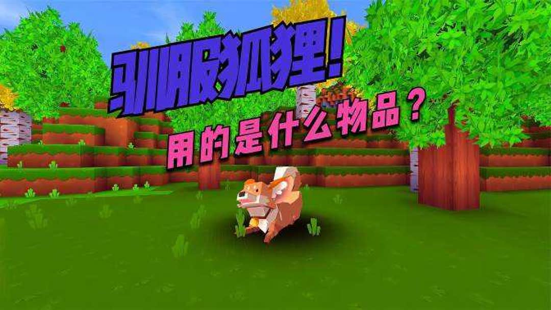 迷你世界:驯服野生狐狸,用到的物品,居然是烤鸡!