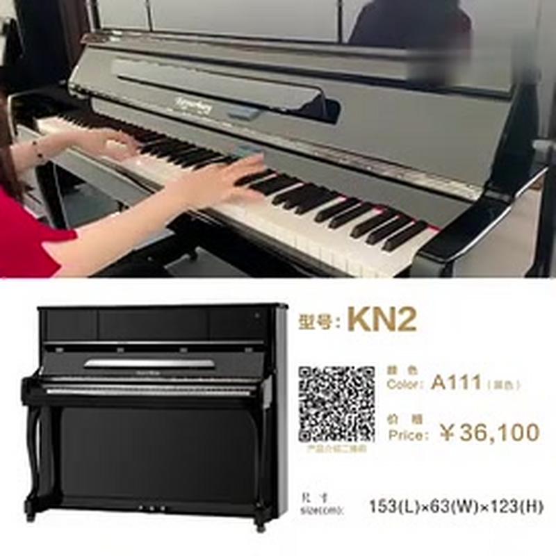 恺撒堡钢琴型号简介