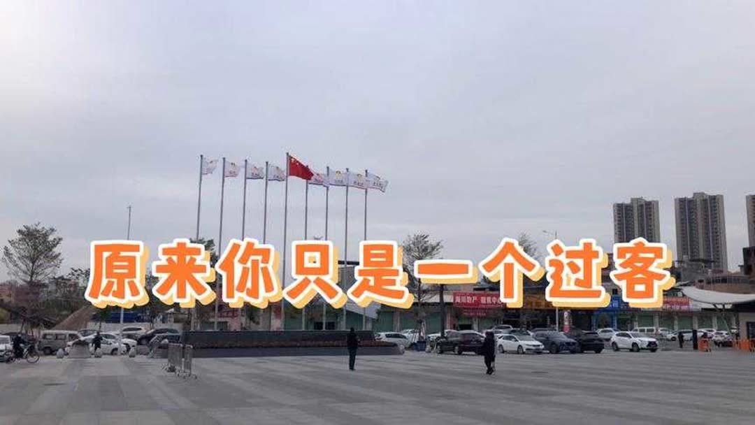 原来你只是一个过客,从我的世界路过,句句催人泪下
