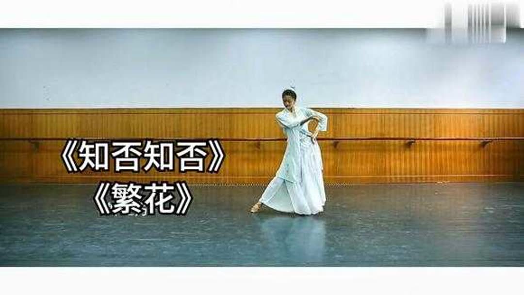 中国古风古典舞蹈串烧《知否知否+繁花》,独舞集体舞