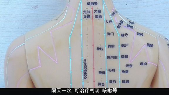 膏肓俞穴功效:不虚益损,调理肺气。主治疾病:咳嗽,四肢疲倦等