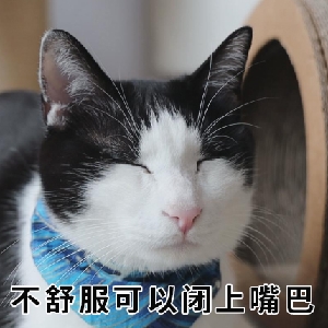 不想起名的大橘猫 