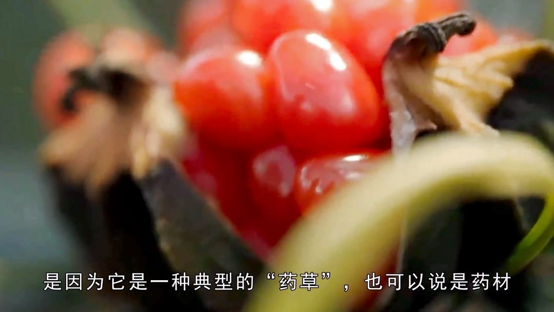 在南方有种植物,1斤可以卖400多元,它名称很别致,叫七叶一枝花