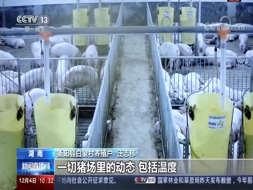 [新闻直播间]湖南 生猪生产止降回升 发展标准化养殖 增加抵御风险能力