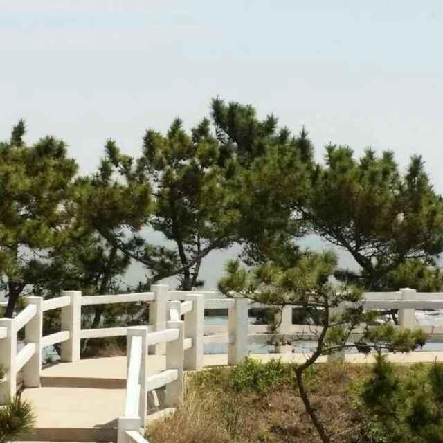 孤独不孤单在抽烟 