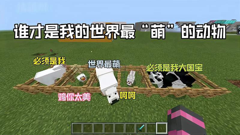 我的世界:谁才是我的世界里最“萌”的动物!