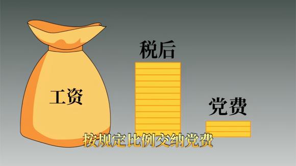 在党知党|党费基数是怎么算出来的?