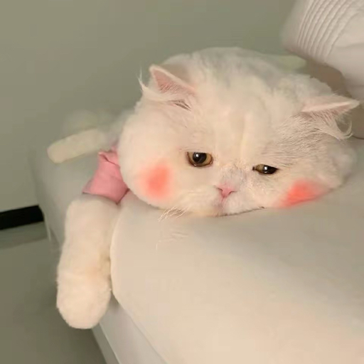 阿怪iii 