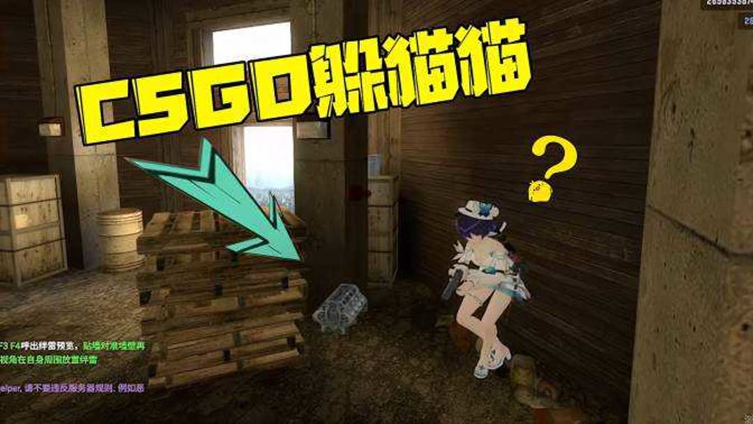 csgo躲猫猫:看来电子竞技真的不需要视力呀!