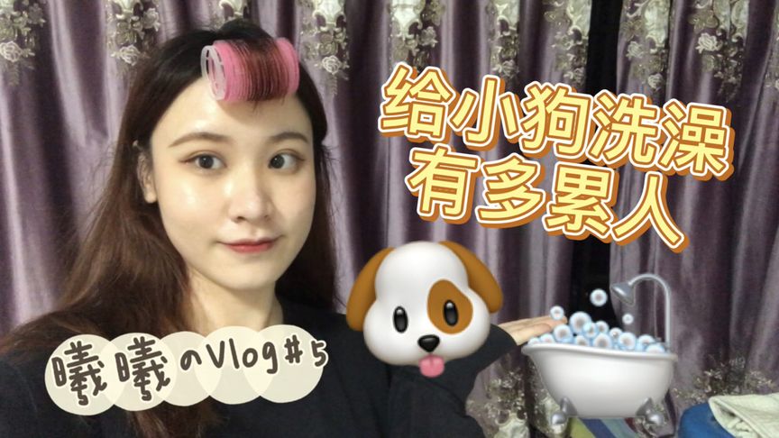 接过妈妈的活儿,尝试给宠物狗洗澡,原来这也是个技术活
