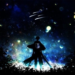 雨落星辰丿 