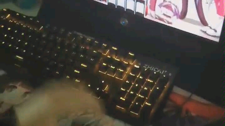 当你使用罗技G502玩4k