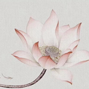 和风香堂奇楠沉香馆 