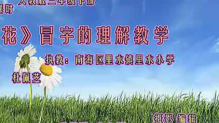 《荷花》 (探究类) 小学语文微课暨优秀课例片段评比暨观摩