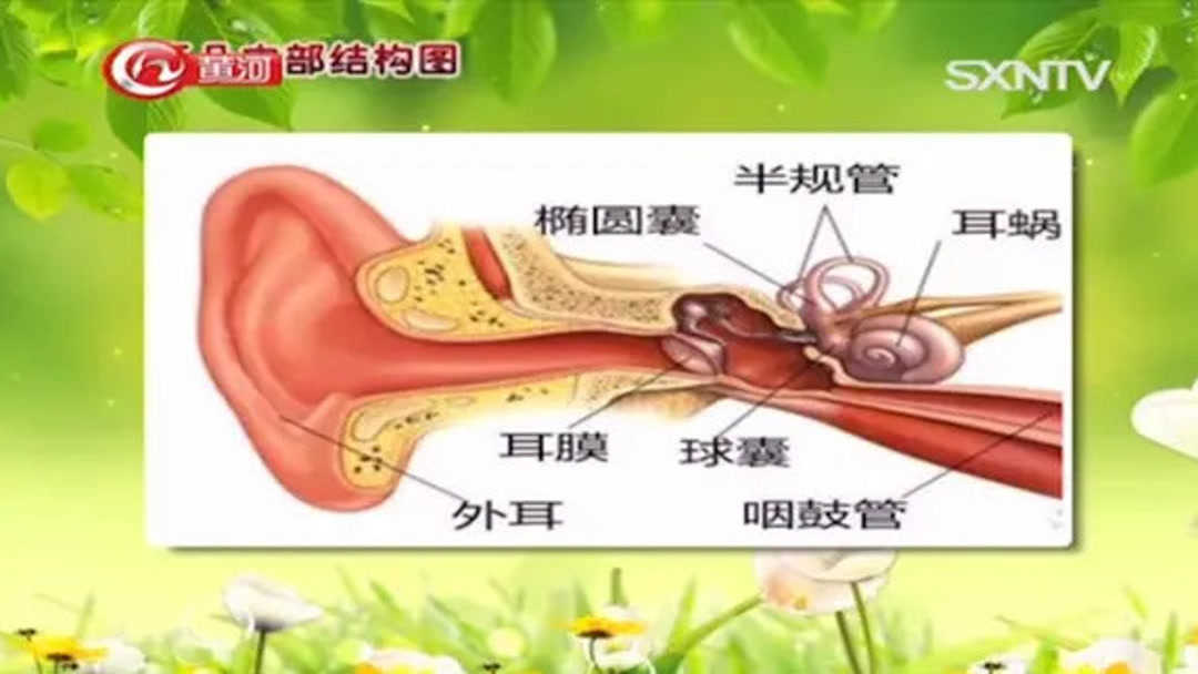 专家来了:专家给出耳石症定义,这几种症状可自测是否患有耳石症
