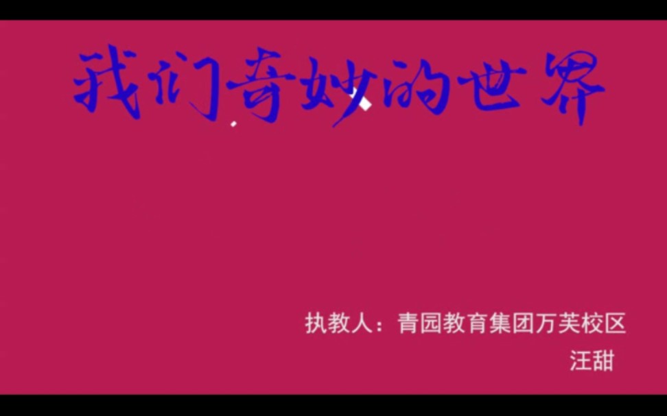 ...《我们奇妙的世界》(含课件教案) 名师优质公开课 教学实录 小学...