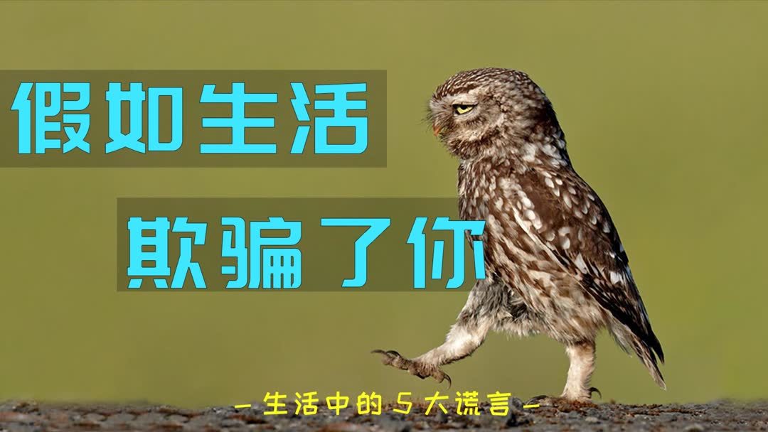 生活不止眼前的苟且,还有你得不到的人和你不知道的谎言