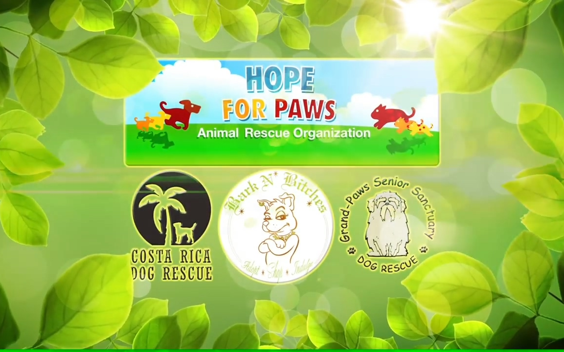 [Hope For Paws-希望之爪]如何让一只玻璃心的小恶犬变成乖巧的汪