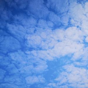 啊星的生活记录 