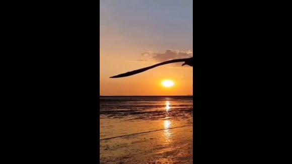 下面是三大运营商个人轨迹证明方法手机用户证明方法