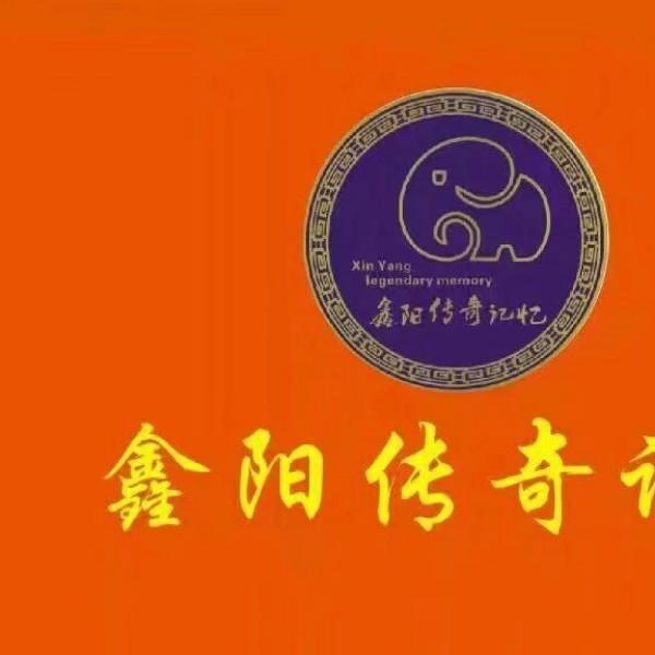 鑫阳传奇记忆最强大脑右脑开发 