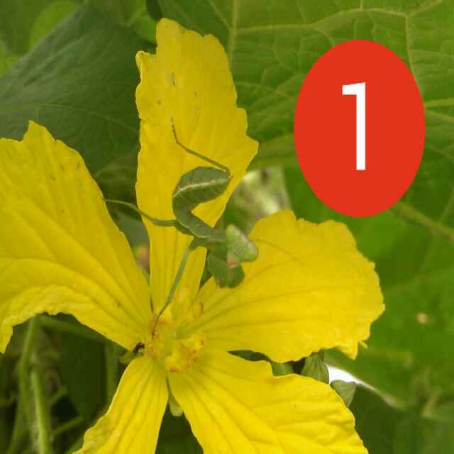 心境如水澄明亮 