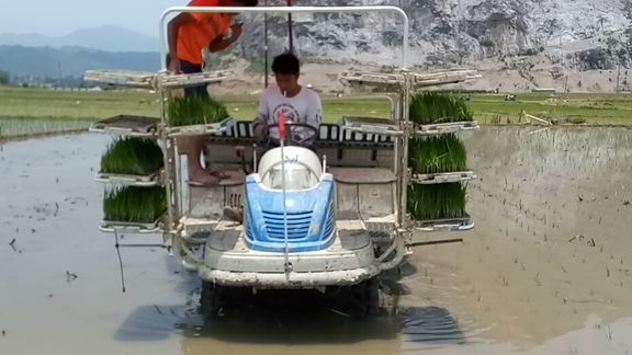 和国外一样先进的,机械化水稻种植技术