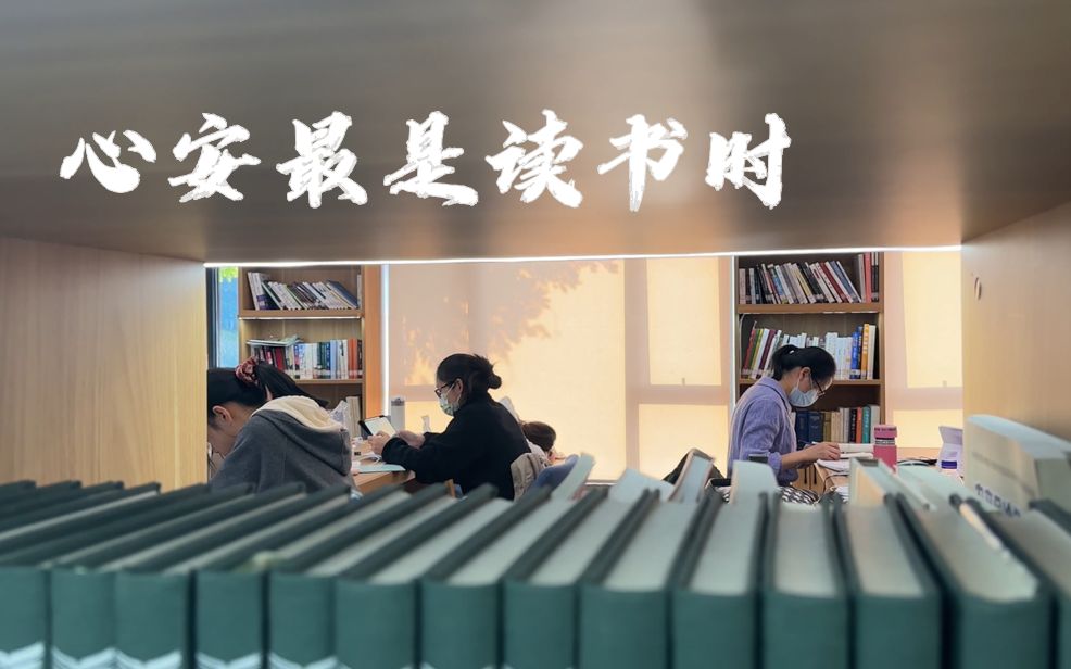 辞职之后,我成了一名图书馆管理员