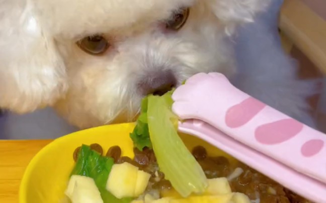 今天是爱吃青菜和水果的修狗呀～你们家的狗子都喜欢吃什么呀?