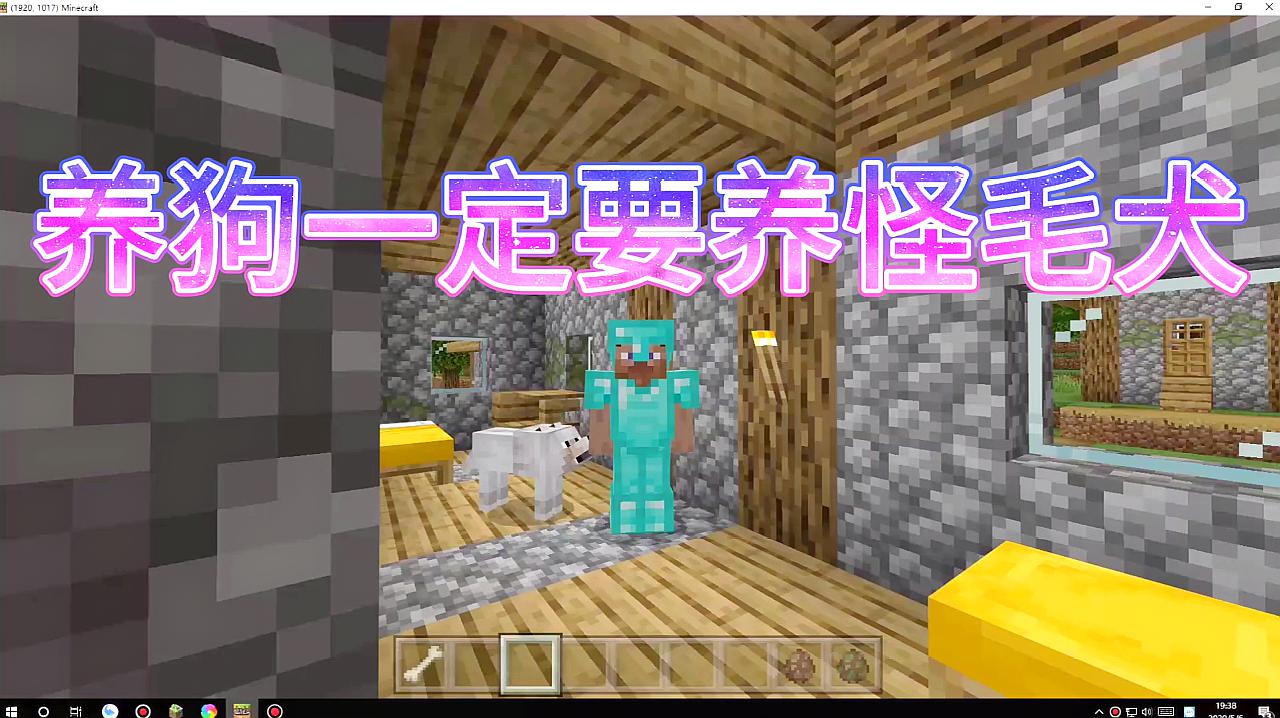 我的世界:养狗一定要养怪毛犬,太忠诚了,护主